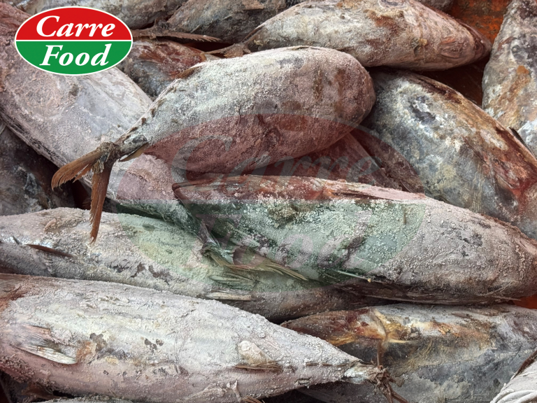Tuna – FUJIAN CARREFOOD INDUSTRY AND TRADE CO., LTD（Carre Food Co ...